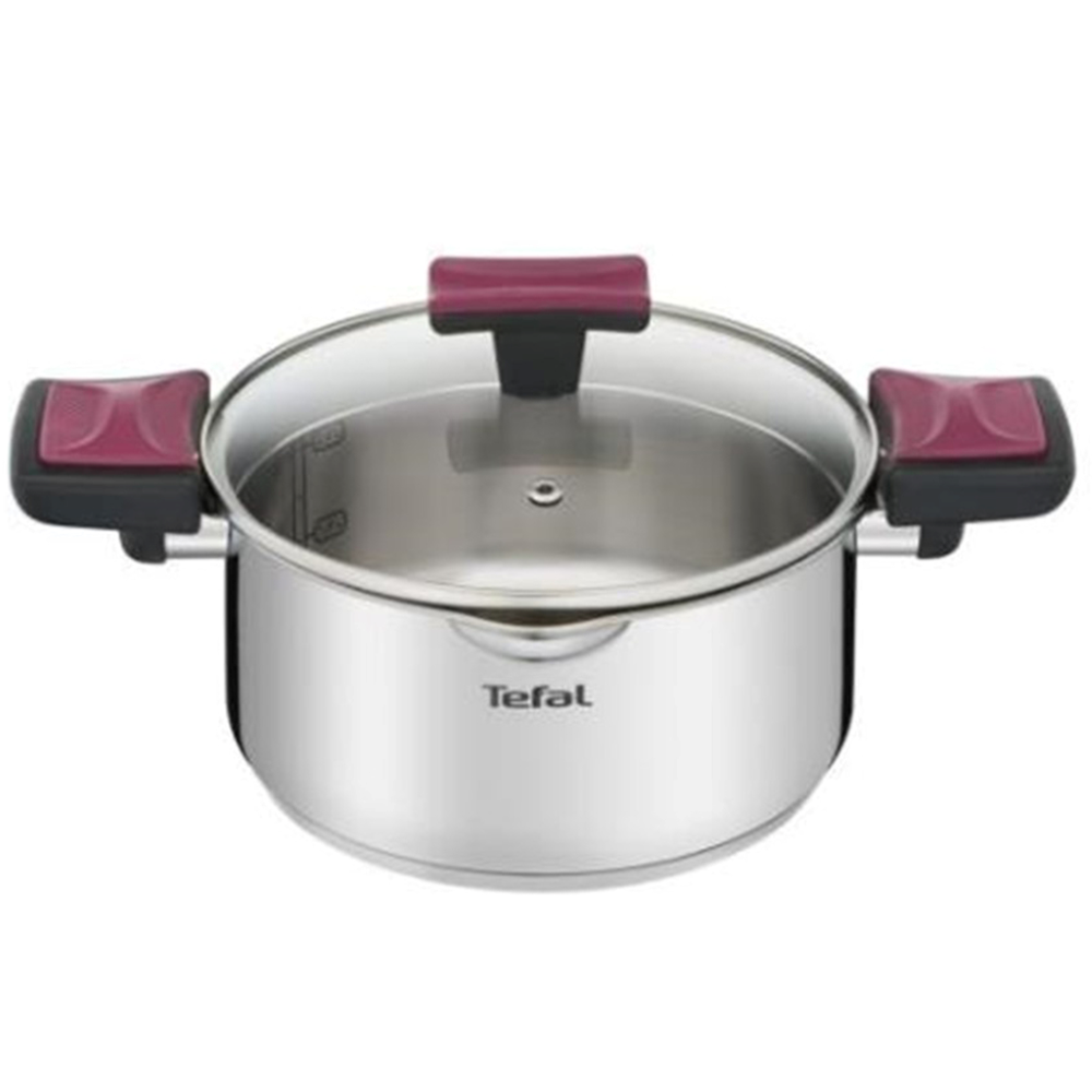【Tefal 法國特福】香頌不鏽鋼系列雙耳湯鍋(24cm-含鍋蓋/G7234674) - 全聯線上購-隔日達平台