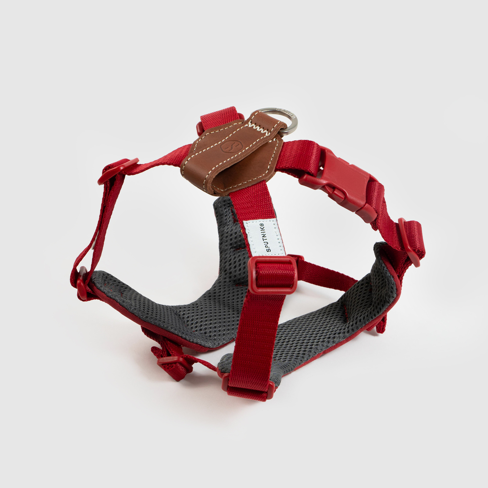 【SPUTNIK 斯普尼克】Explore︱胸背帶(紅 M) - 全聯全電商