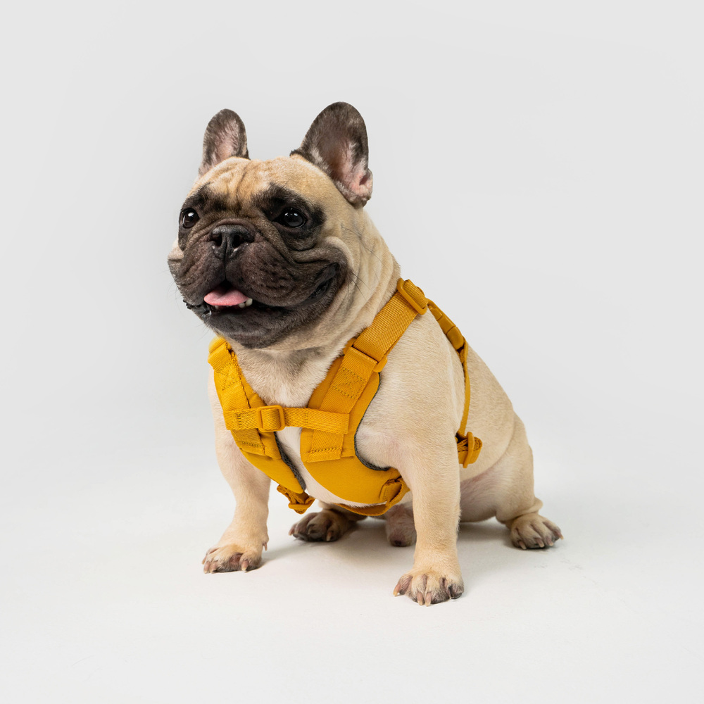 【SPUTNIK 斯普尼克】Explore︱胸背帶(黃 M) - 全聯全電商