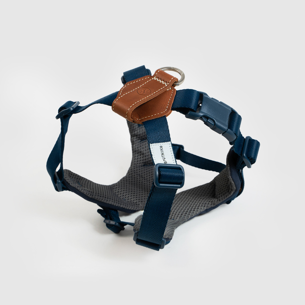 【SPUTNIK 斯普尼克】Explore︱胸背帶(藍 M) - 全聯全電商