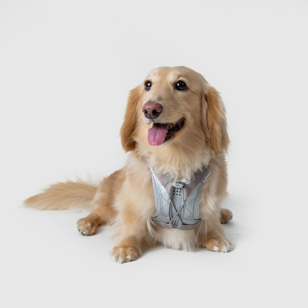 【SPUTNIK 斯普尼克】Ultra Explore︱終極胸背帶-S號(黑色/灰色) - 全聯全電商