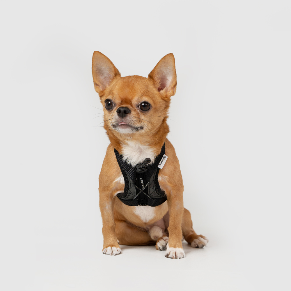 【SPUTNIK 斯普尼克】Ultra Explore︱終極胸背帶-M號(黑色/灰色) - 全聯全電商