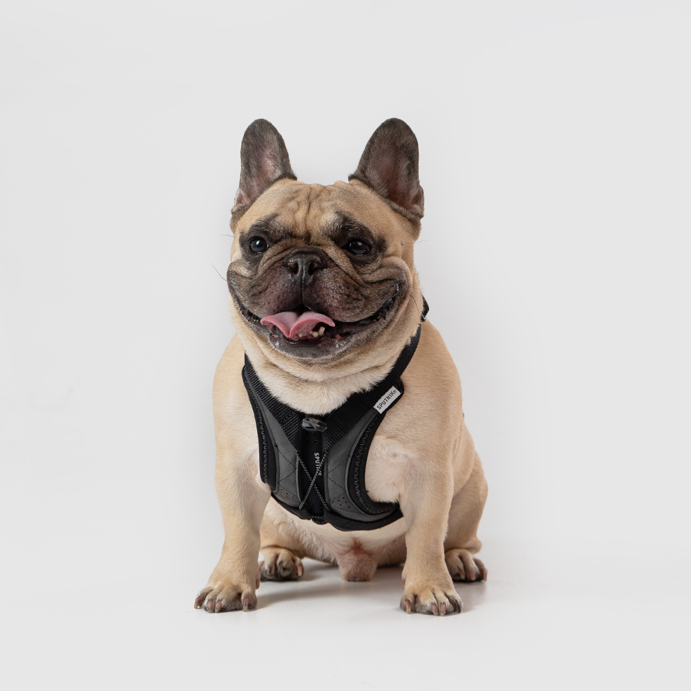 【SPUTNIK 斯普尼克】Ultra Explore︱終極胸背帶-M號(黑色/灰色) - 全聯全電商