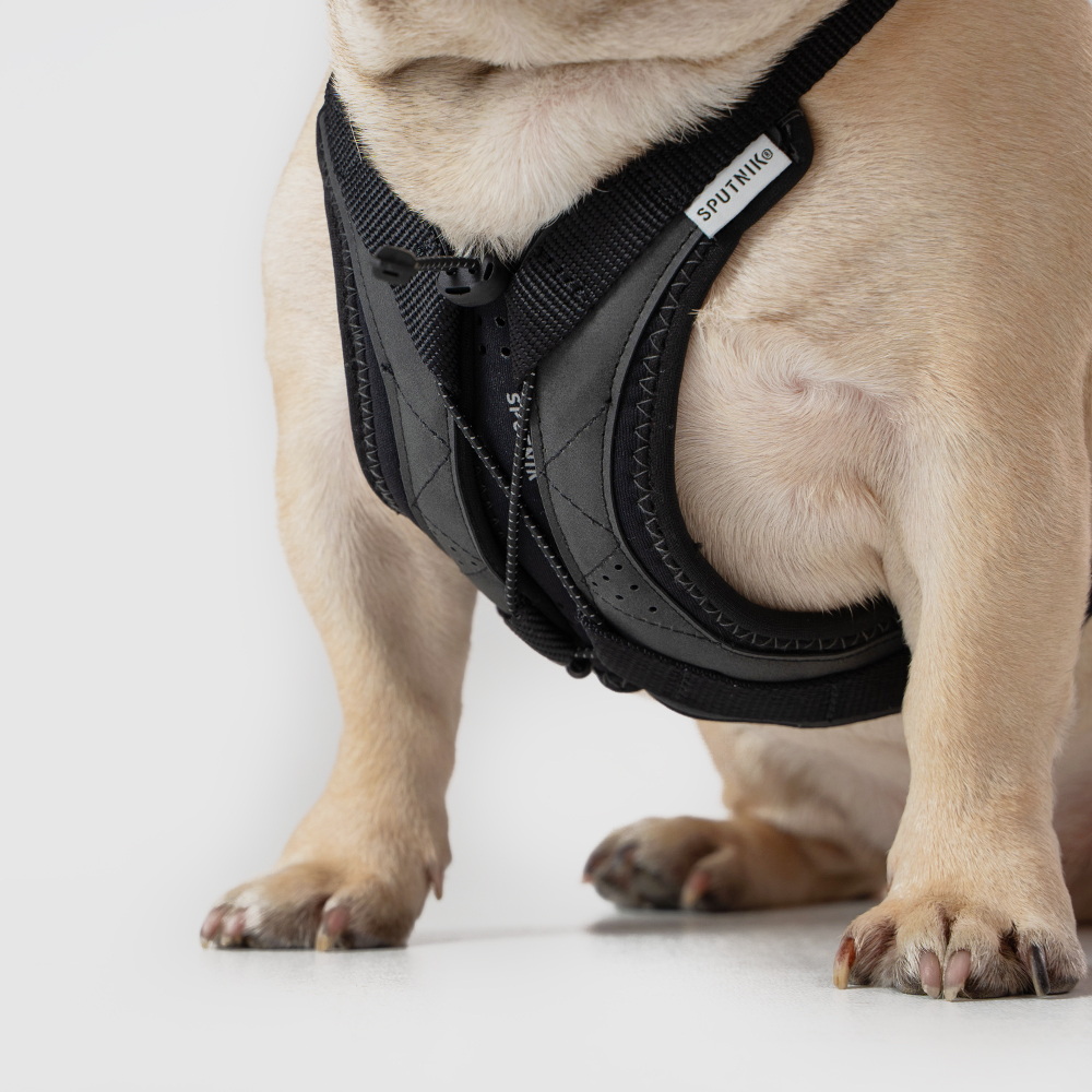 【SPUTNIK 斯普尼克】Ultra Explore︱終極胸背帶-M號(黑色/灰色) - 全聯全電商