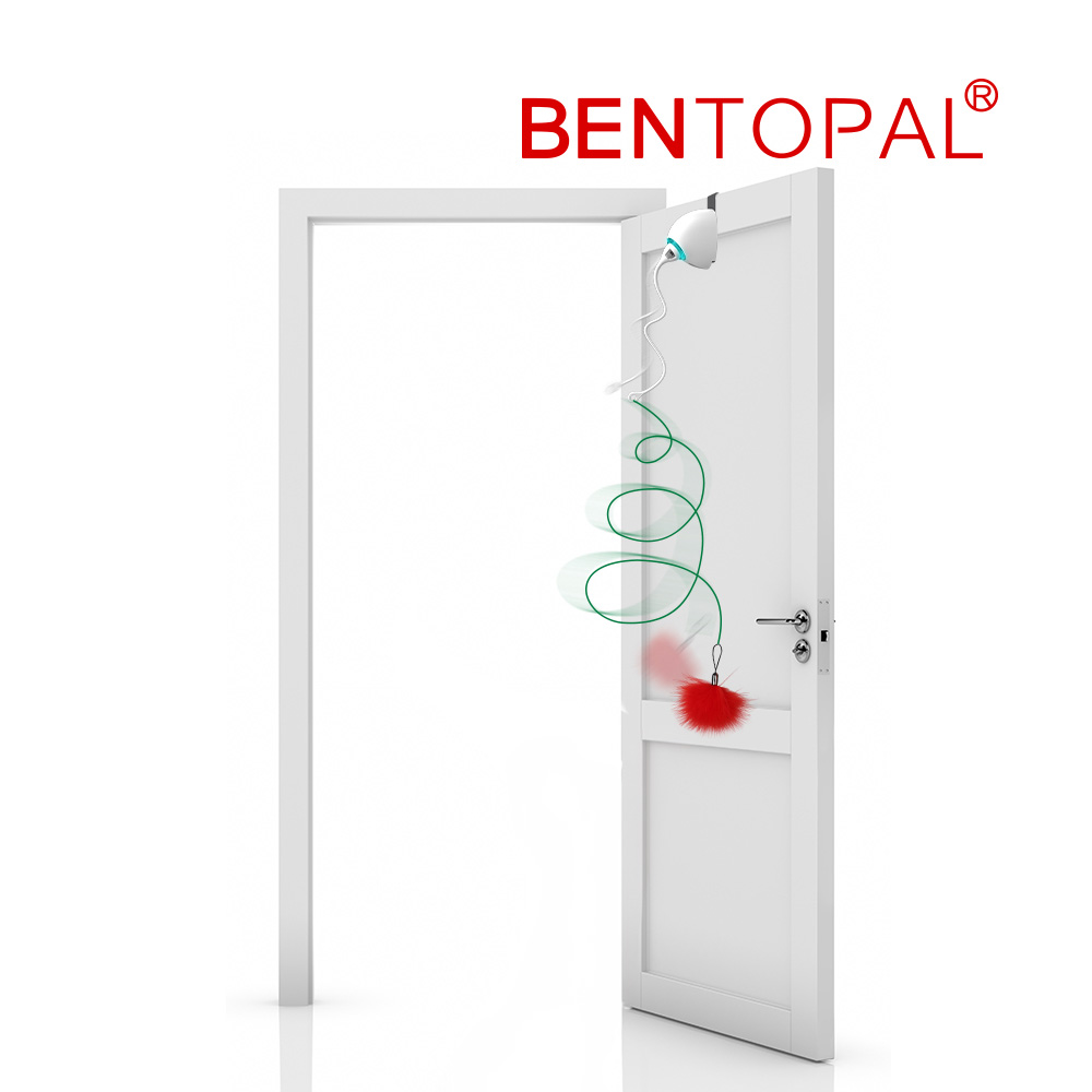 【BENTOPAL】邦特普 智能甩甩逗貓繩(寵物智能玩具) - 全聯全電商